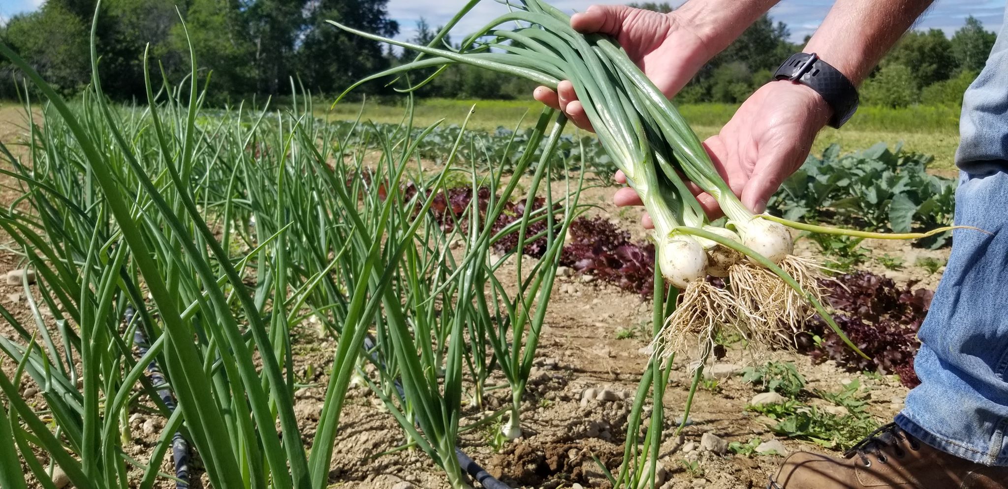 Micmac Farms | Destination Native America