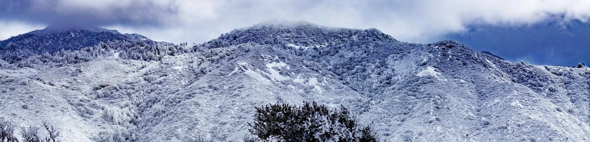 Los Coyotes Band of Cahuilla and Cupeño Indians | Destination Native ...