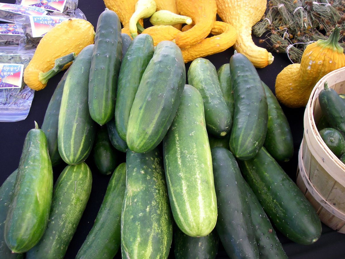 Pueblo of Nambe - Community Farming Project | NativeAmerica.travel