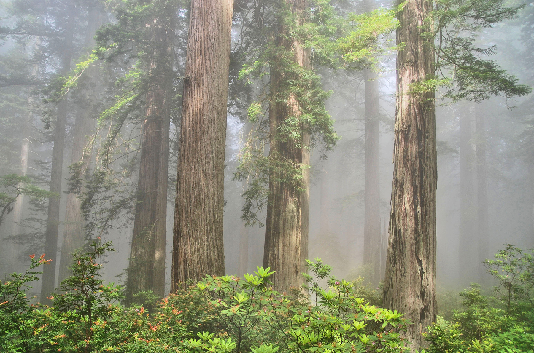 Yurok Tribe | Destination Native America