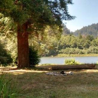 Redwood RV Park | NativeAmerica.travel