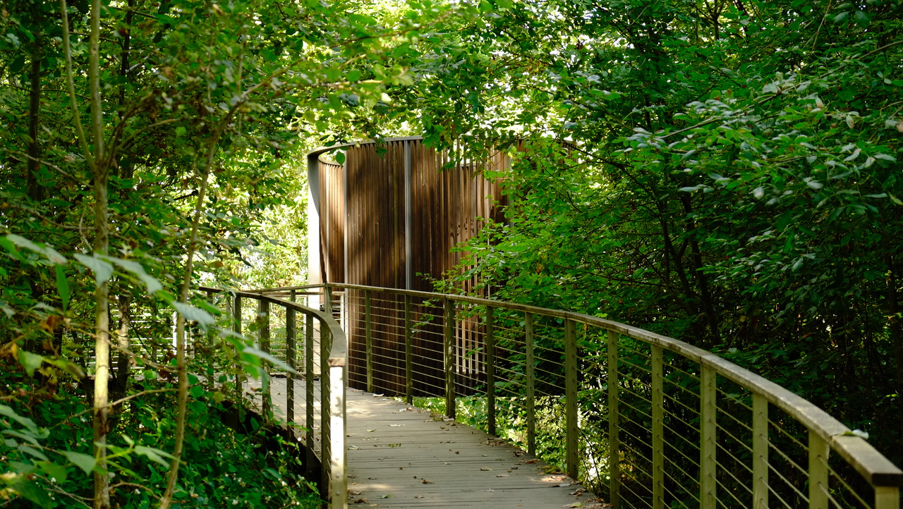 Confluence Bird Blind at the Sandy River Delta | Destination Native America